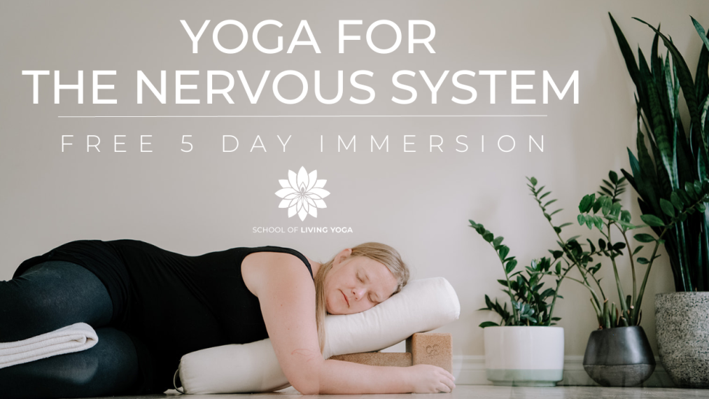 Free 5 Day Yoga Immersion – Yoga for the Nervous System - Ally Boothroyd